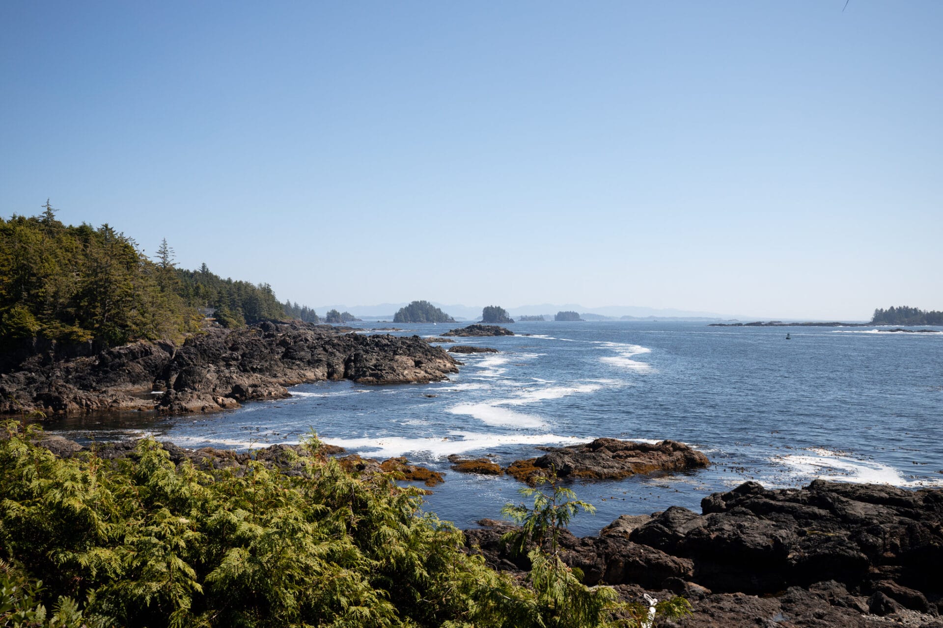 The best things to do in Ucluelet for nature seekers – Love From Steph